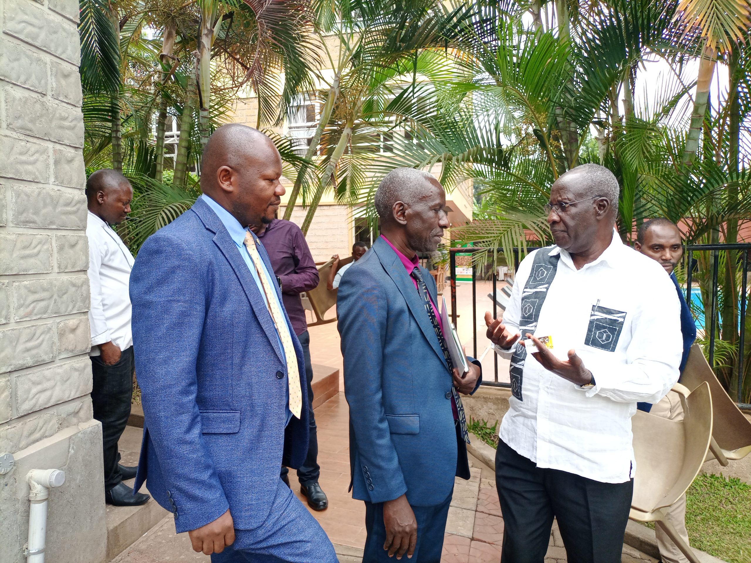 Why Uganda’s Irish Potatoes Not Fit For Chips - Uganda Update News